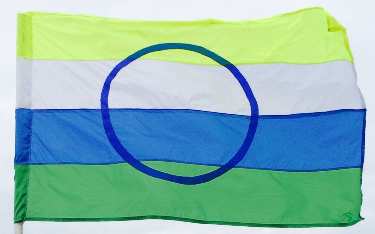 Here’s the new Climate Flag… pass it along, we can spread it worldwide ...